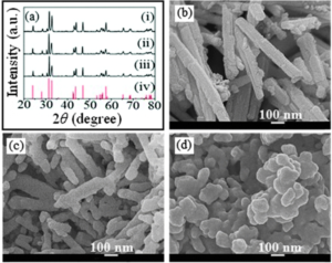 Publications – Nikolla Lab