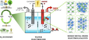 Publications – Nikolla Lab