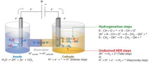 Publications – Nikolla Lab