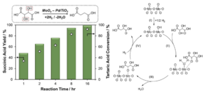 Publications – Nikolla Lab