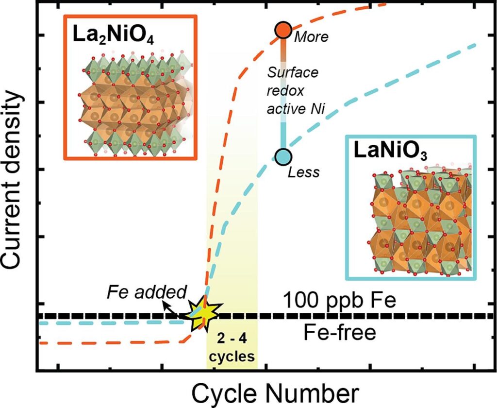 Publications – Nikolla Lab