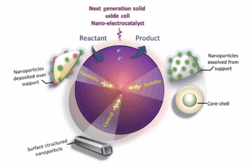Publications – Nikolla Lab